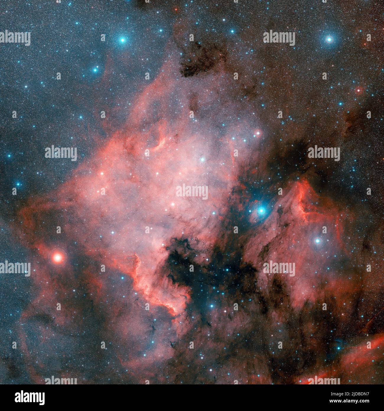 North America Nebula. NCG 7000 in constellation of Cygnus Stock Photo - Alamy