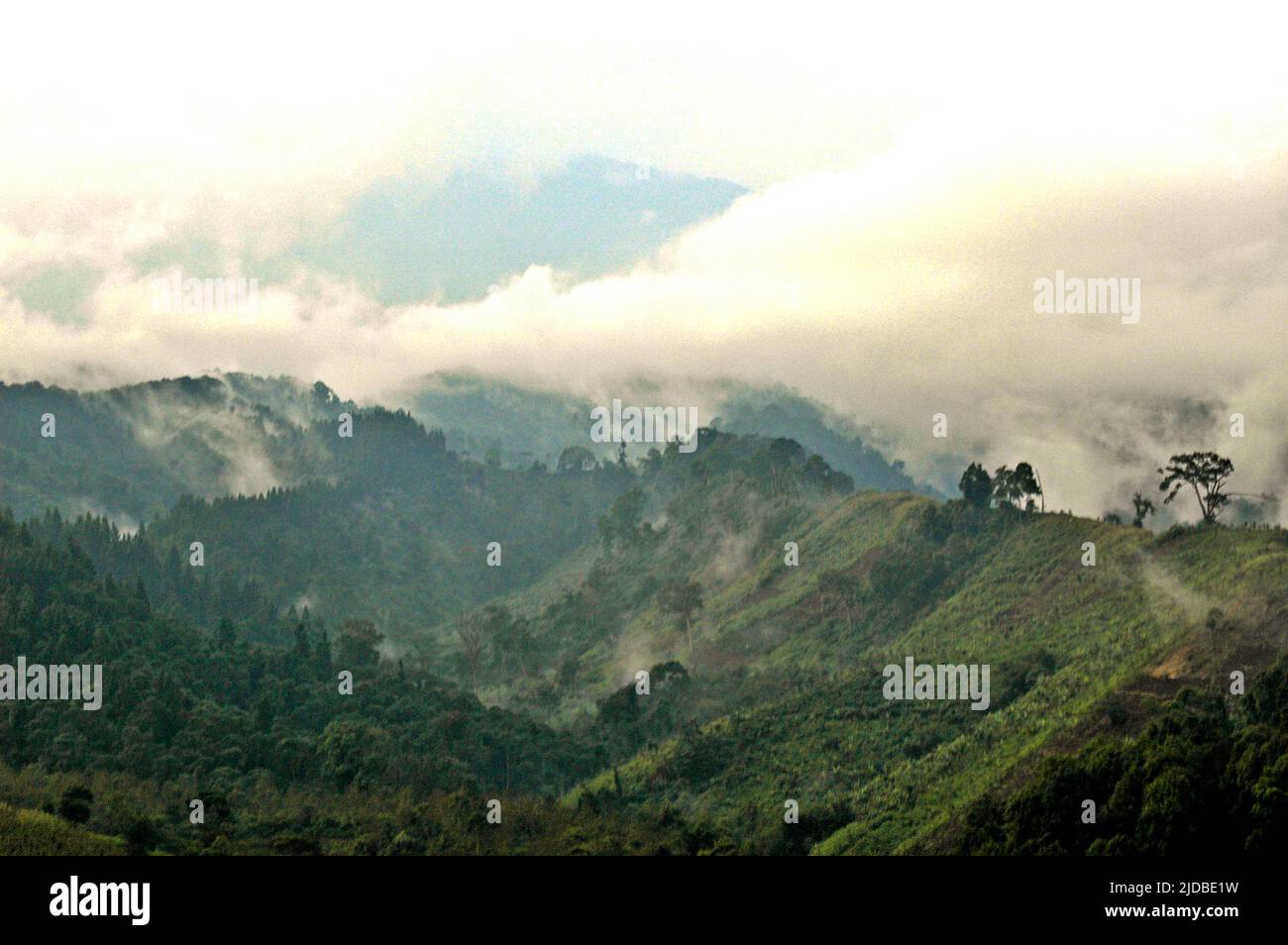 Mountain ridges covered with forest and bushes at the foot of Mount ...