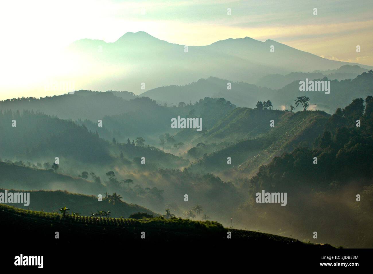 Mountain ridges covered with forest and bushes in a background of Mount ...
