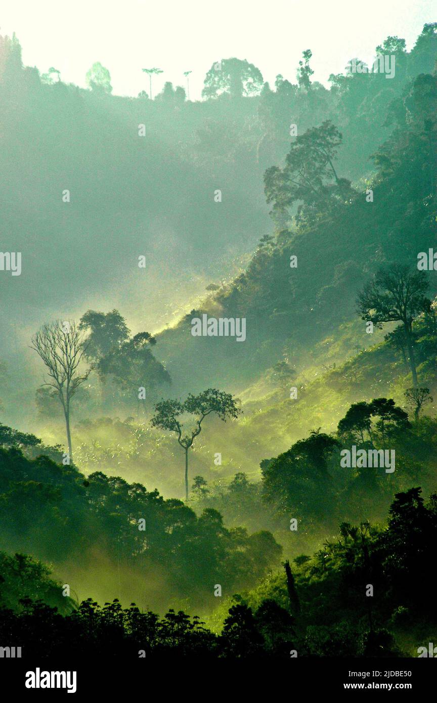Mountain ridges covered with forest and bushes at the foot of Mount ...