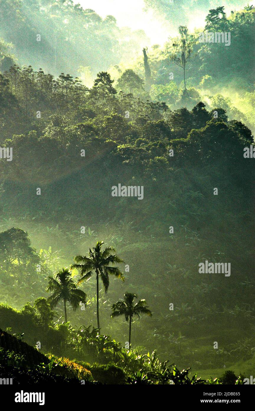 Morning view of agricultural fields and forest below mountain ridges in ...