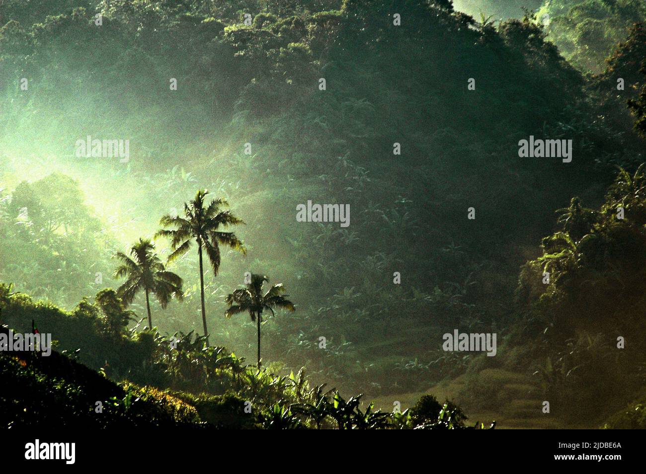 Morning view of agricultural fields and forest below mountain ridges in ...