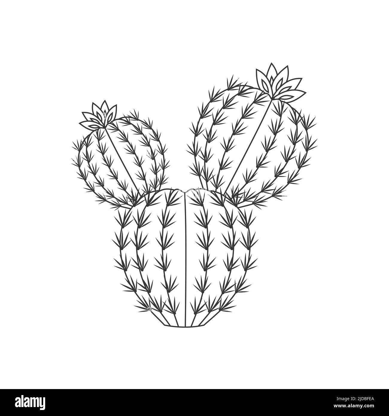 Cactus Drawing Outline