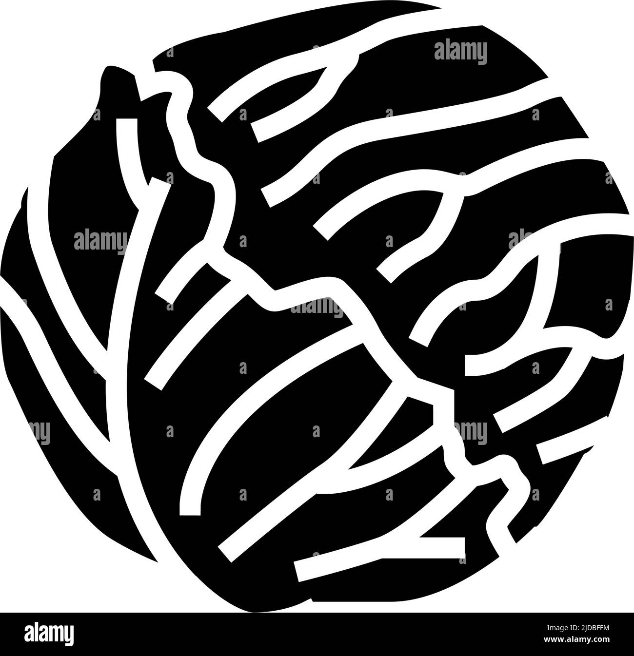 red cabbage glyph icon vector illustration Stock Vector Image & Art - Alamy