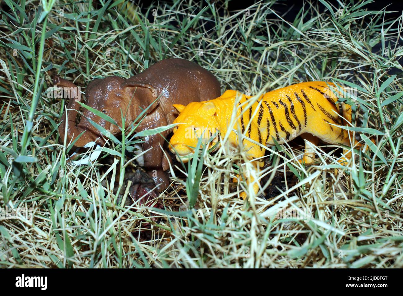 Plastic toy farm animals grass hi-res stock photography and images - Alamy