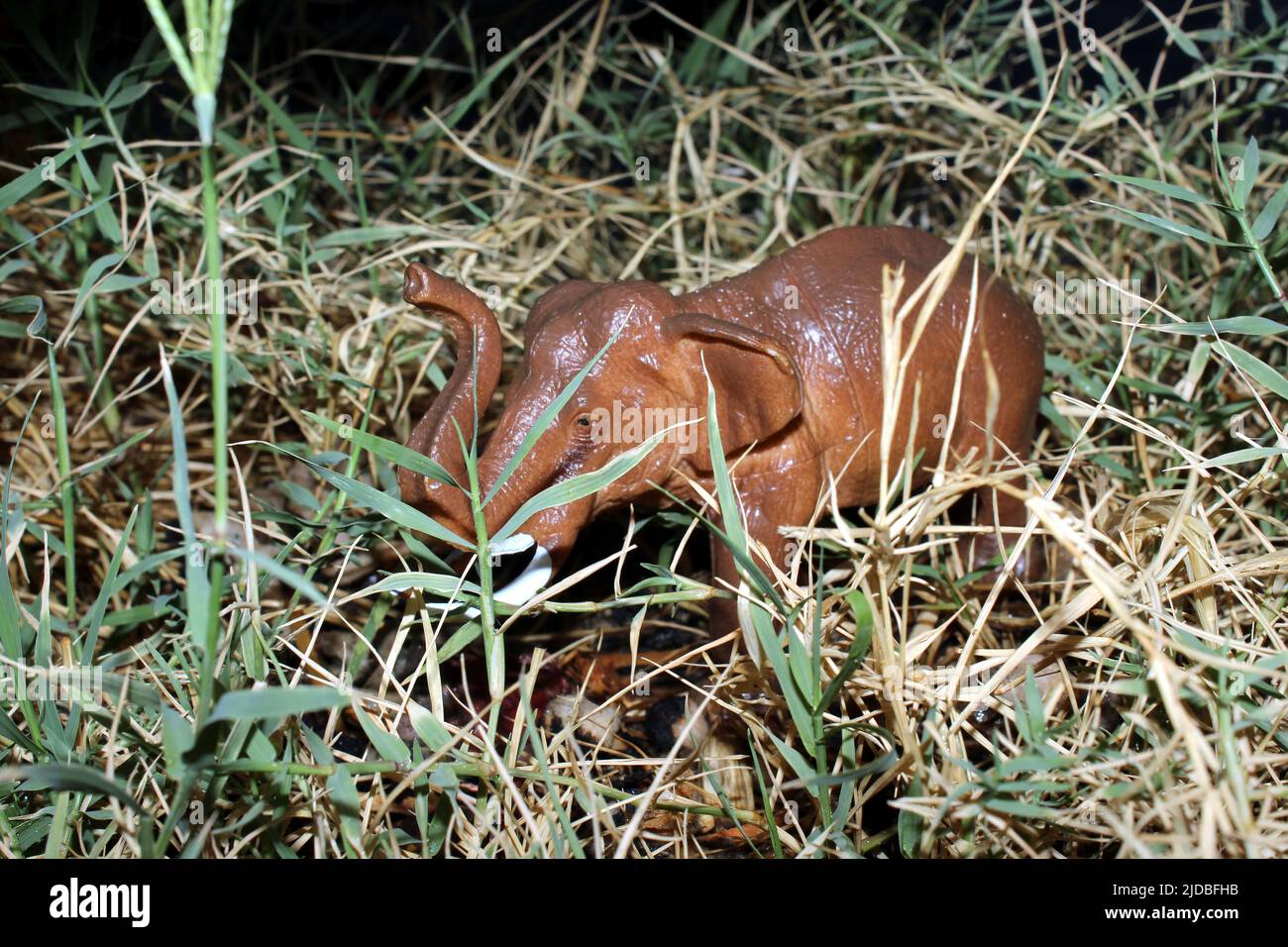 Plastic toy farm animals grass hi-res stock photography and images - Alamy