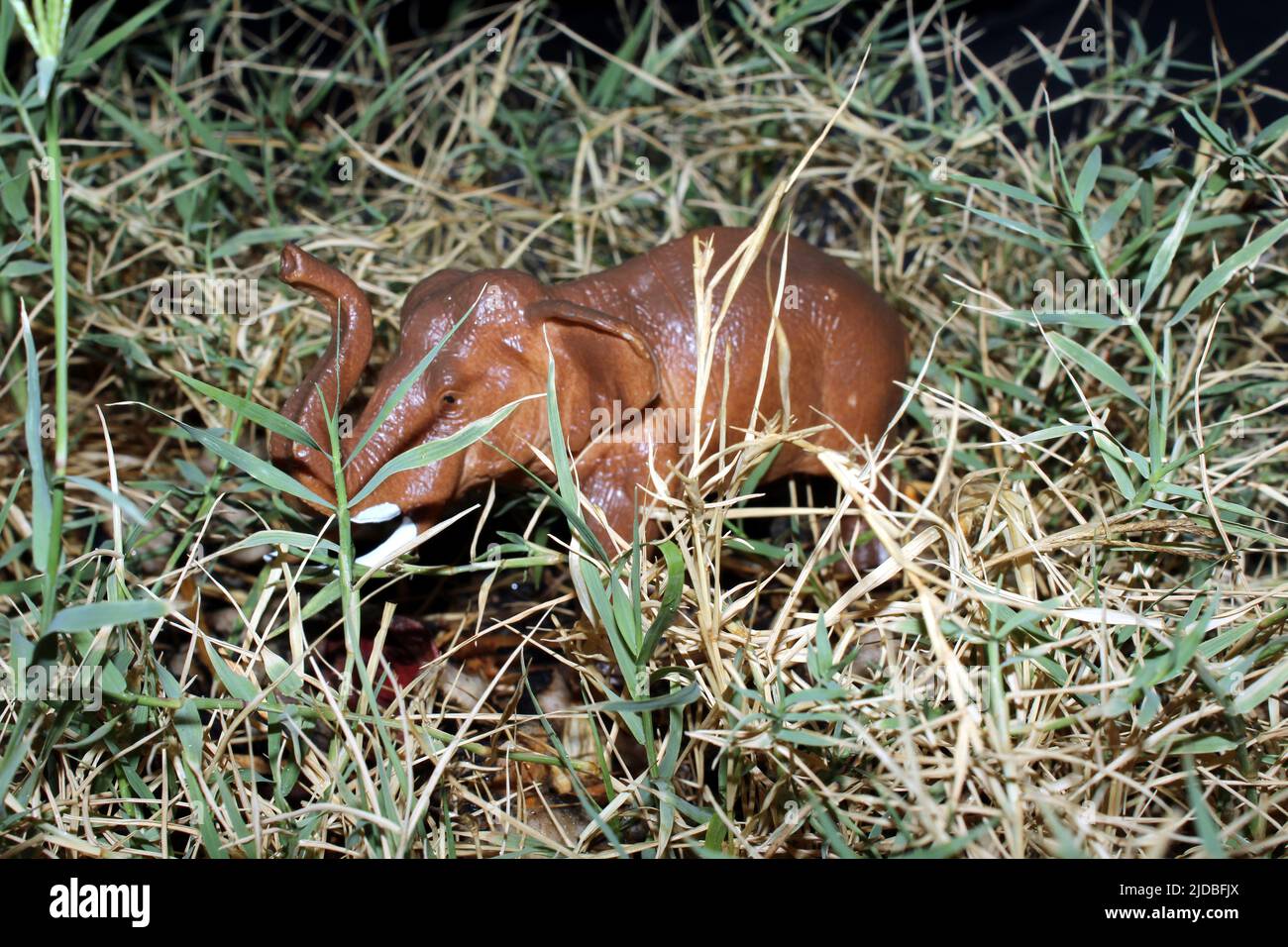 Plastic toy farm animals grass hi-res stock photography and images - Alamy