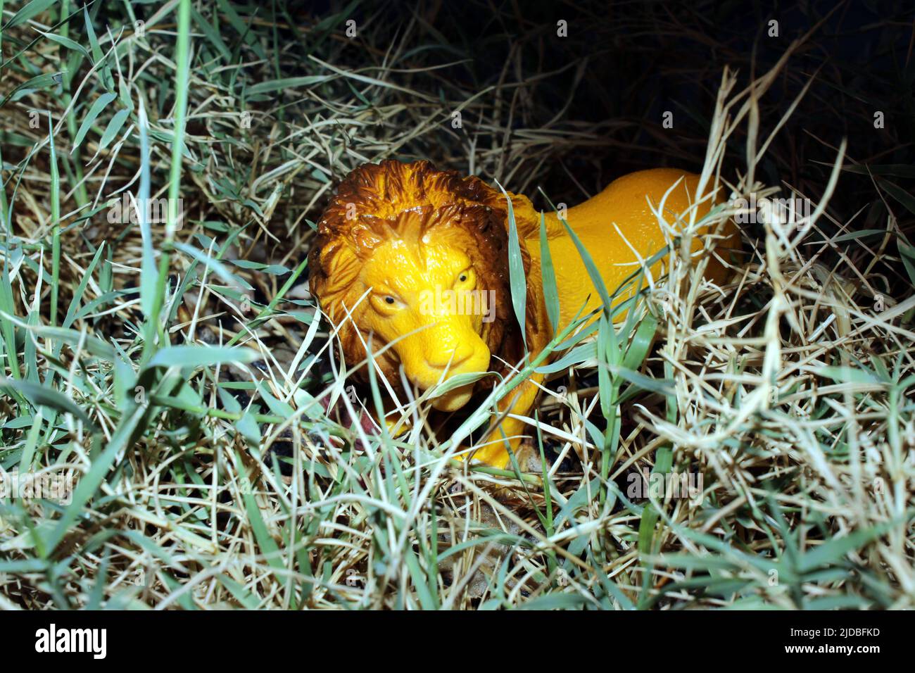 Plastic toy farm animals grass hi-res stock photography and images - Alamy