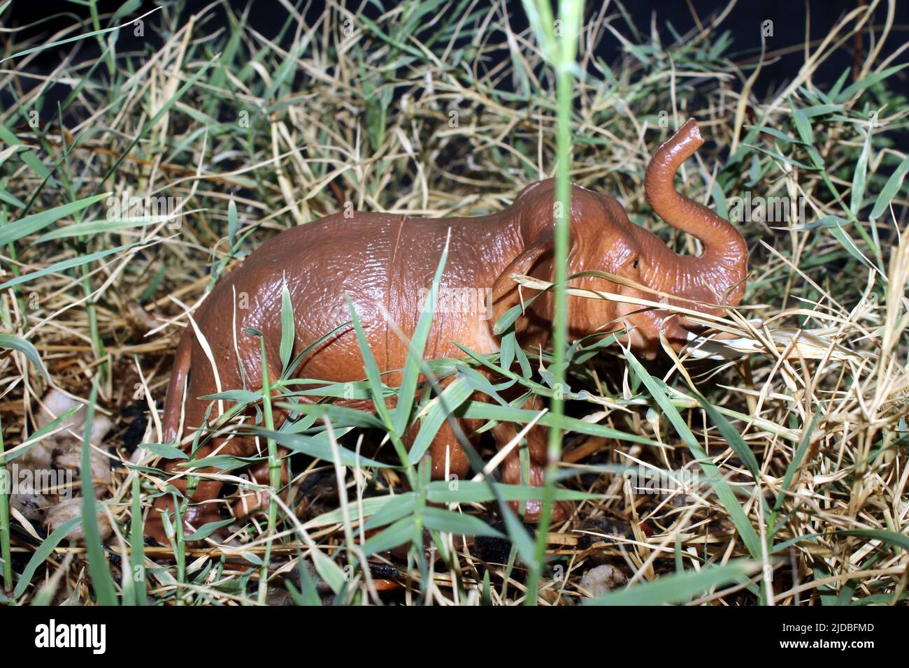 Plastic toy farm animals grass hi-res stock photography and images - Alamy