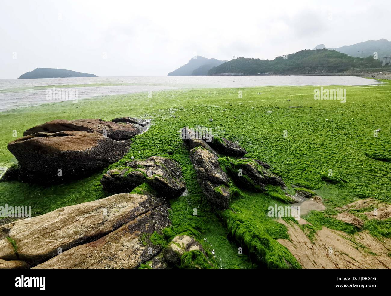 Lianyungang beach hi-res stock photography and images - Alamy