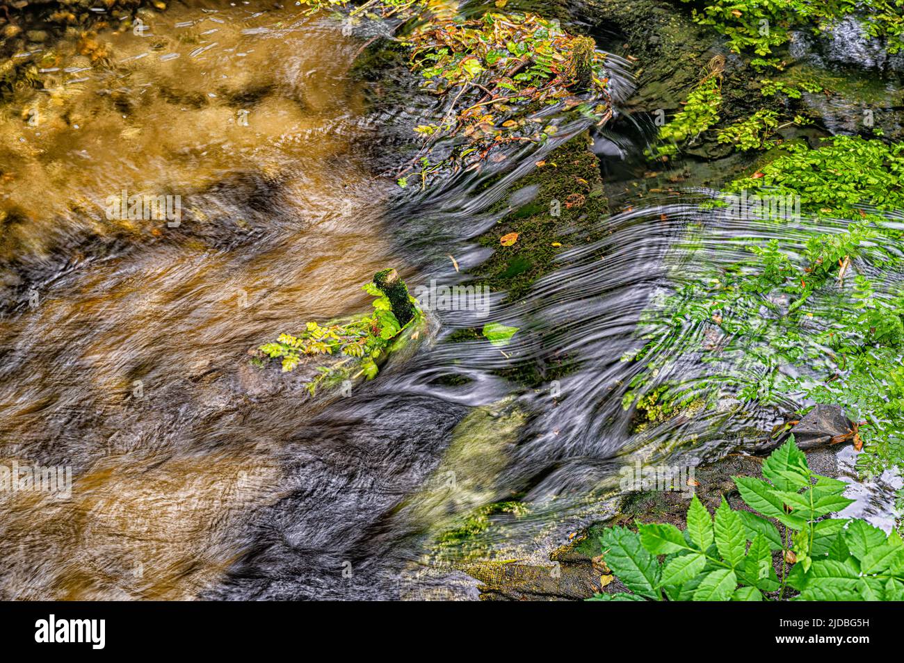 Gooderstone water gardens hi-res stock photography and images - Alamy
