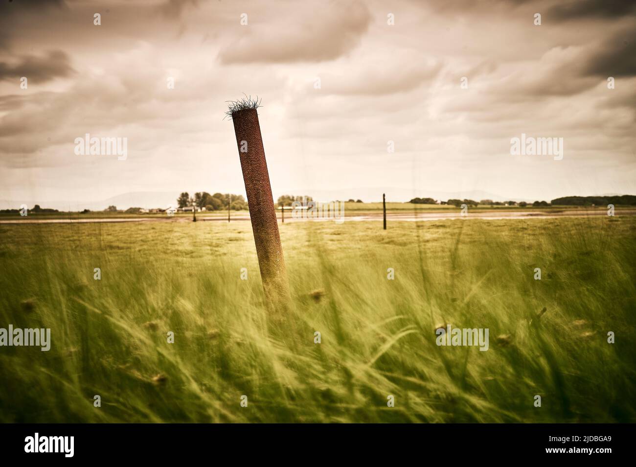 Wind blowing through grass on the River Wyre estuary at Fleetwood Stock ...