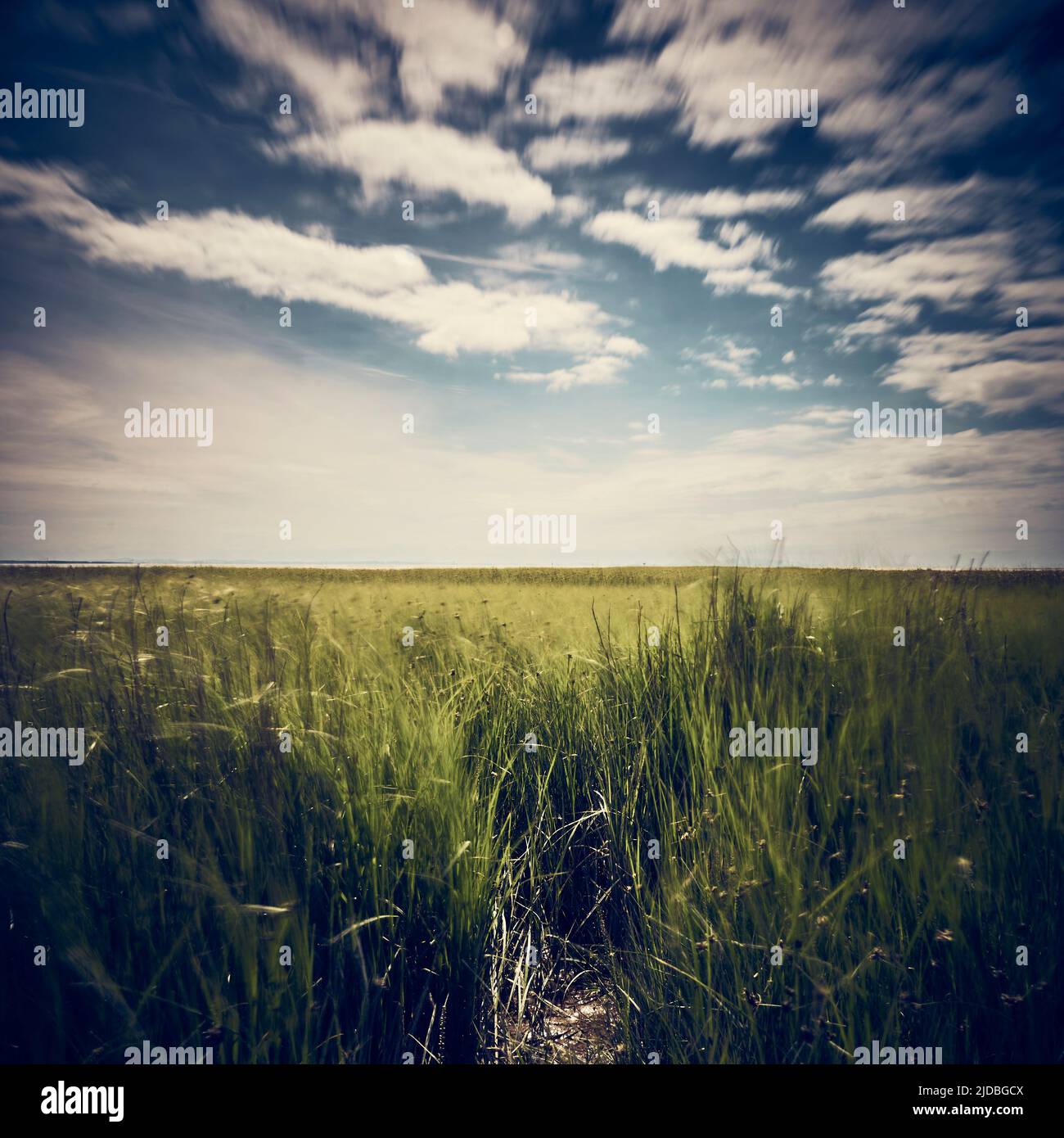 Drainage ditch through marshlands on River Ribble estuary Stock Photo ...