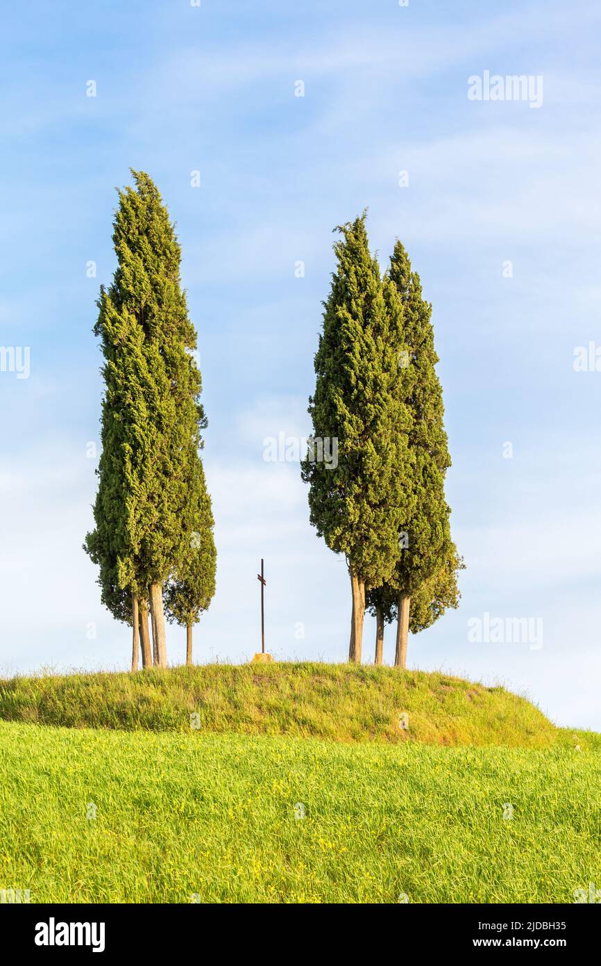 Cypress tree on a hill with a crucifix Stock Photo - Alamy