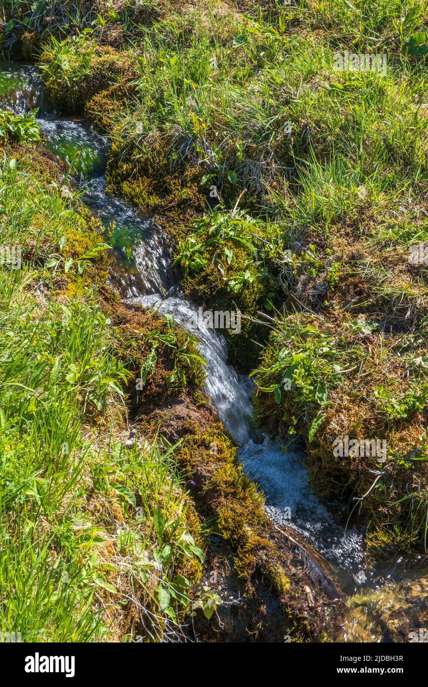 Creek with flowing water on a hillside on a meadow Stock Photo - Alamy