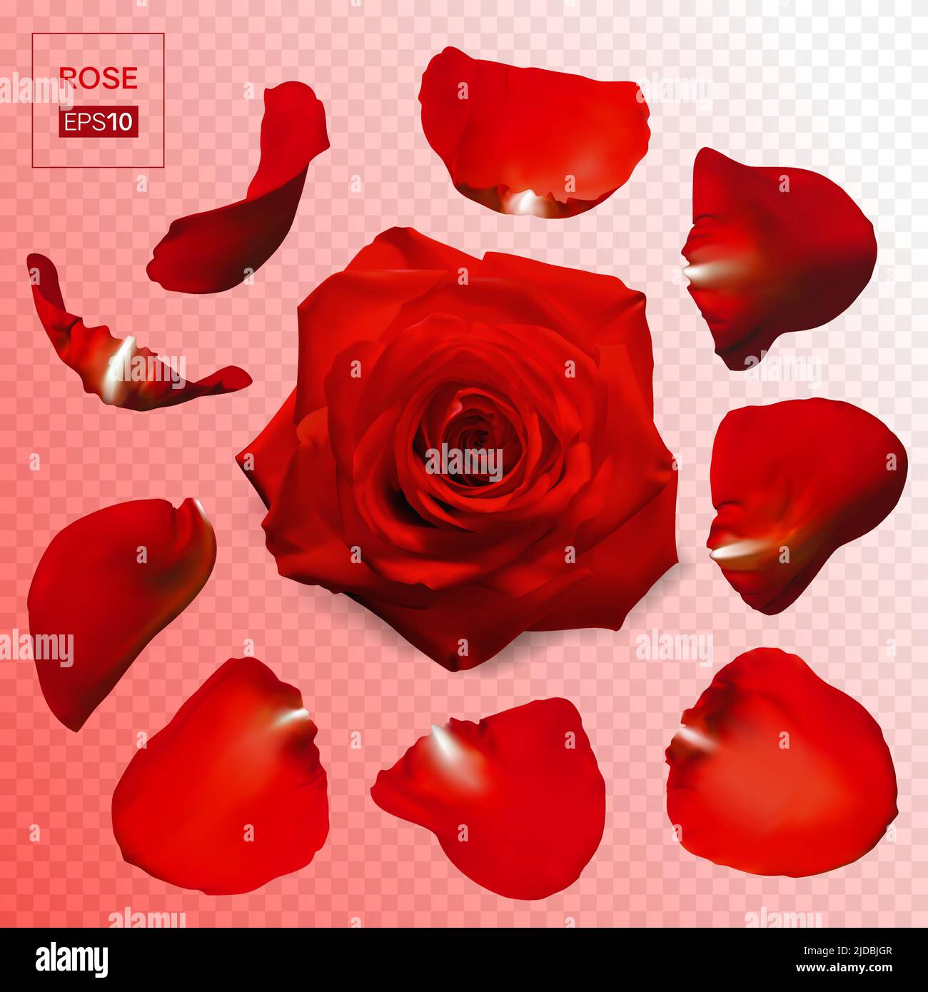 Petal gradients hi-res stock photography and images - Alamy