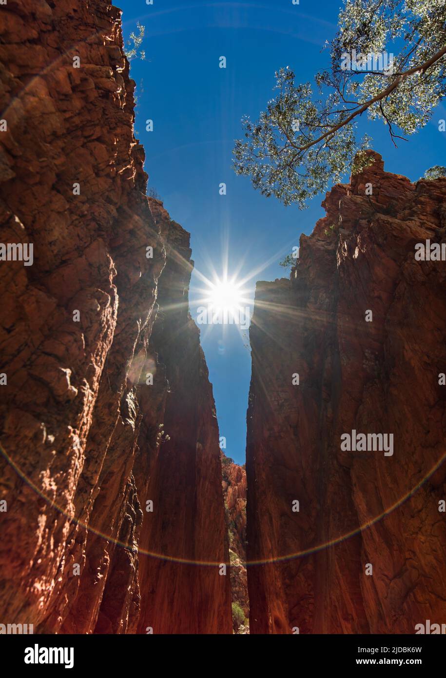 Standley Chasm in the West MacDonnell Range Stock Photo - Alamy