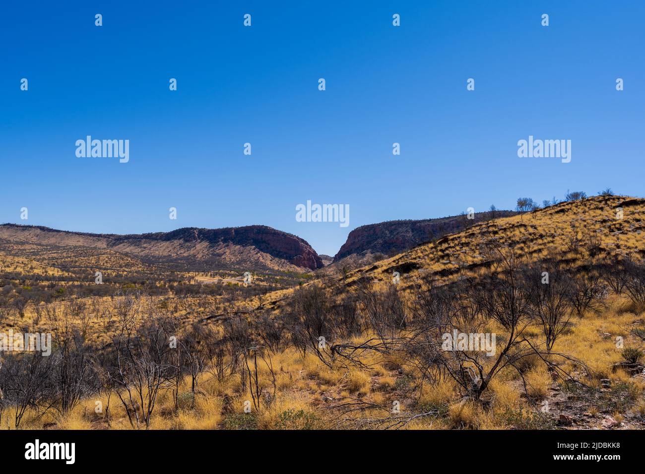 Simpson desert australia hi-res stock photography and images - Alamy