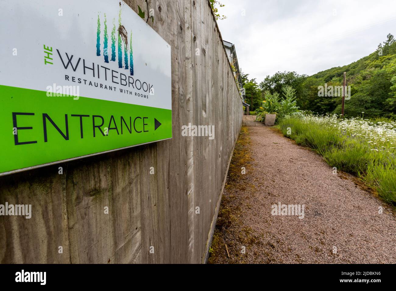The Crown at Whitebrook and the Ox-eye daisy or Marguerite lawn Stock ...