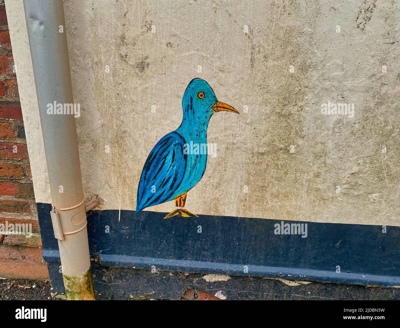 Wall mural bird art hi-res stock photography and images - Alamy