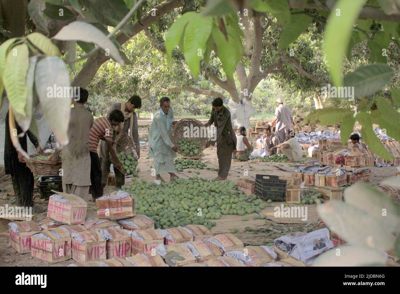 Multan pakistan hi-res stock photography and images - Alamy