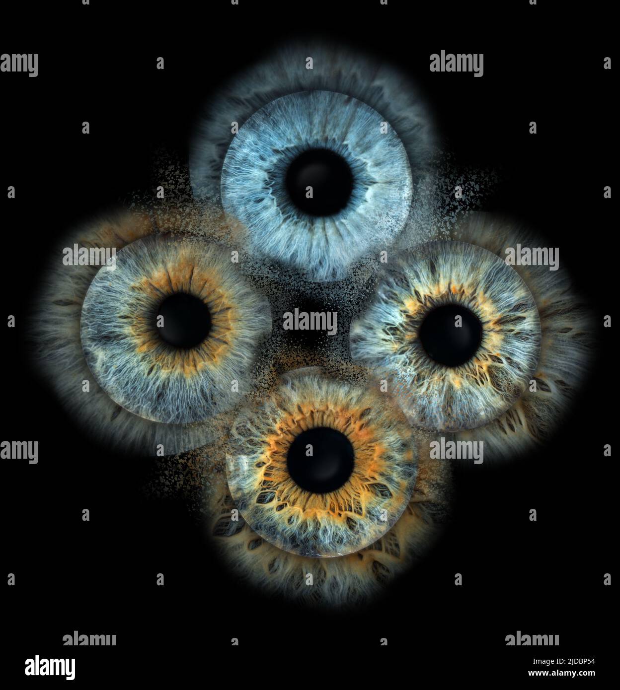 photo of four eyes taken in macro mode, different persons, same color ...