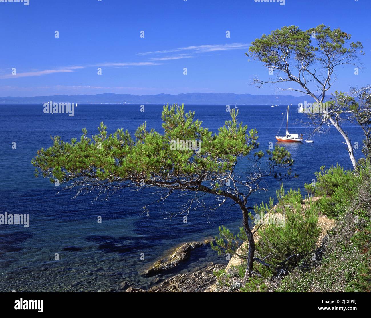 France, Var, The island of Porquerolles, the bay of Langoustier, marina ...