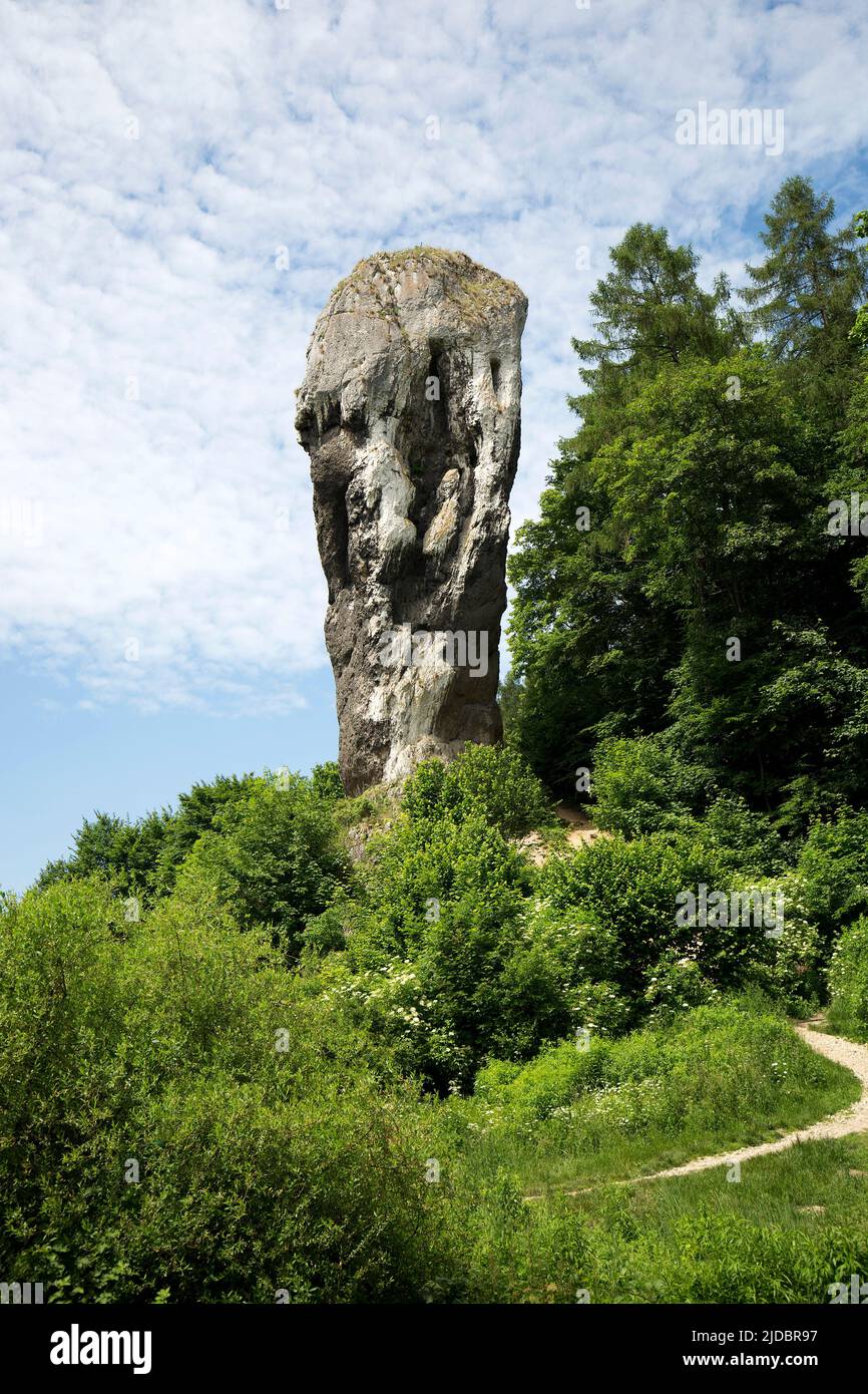 Cudgel of Hercules - limestone stack in Poland Stock Photo - Alamy