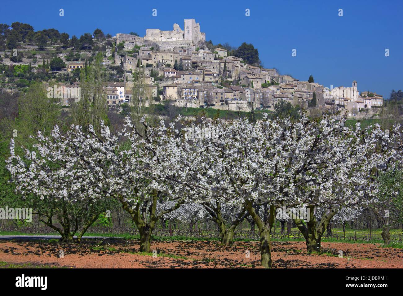 France, Vaucluse Lacoste, village in the Luberon regional natural park ...