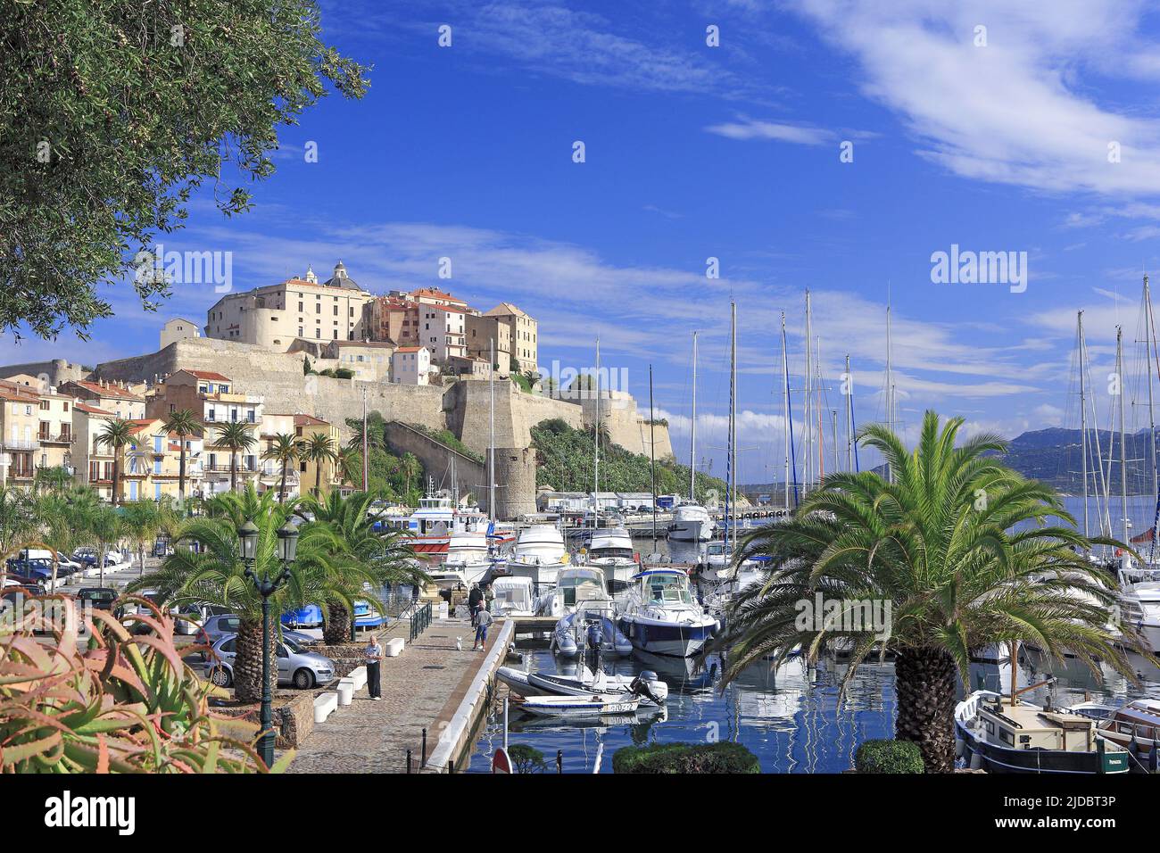 France, Corsica Calvi, the upper town from the marina Stock Photo - Alamy