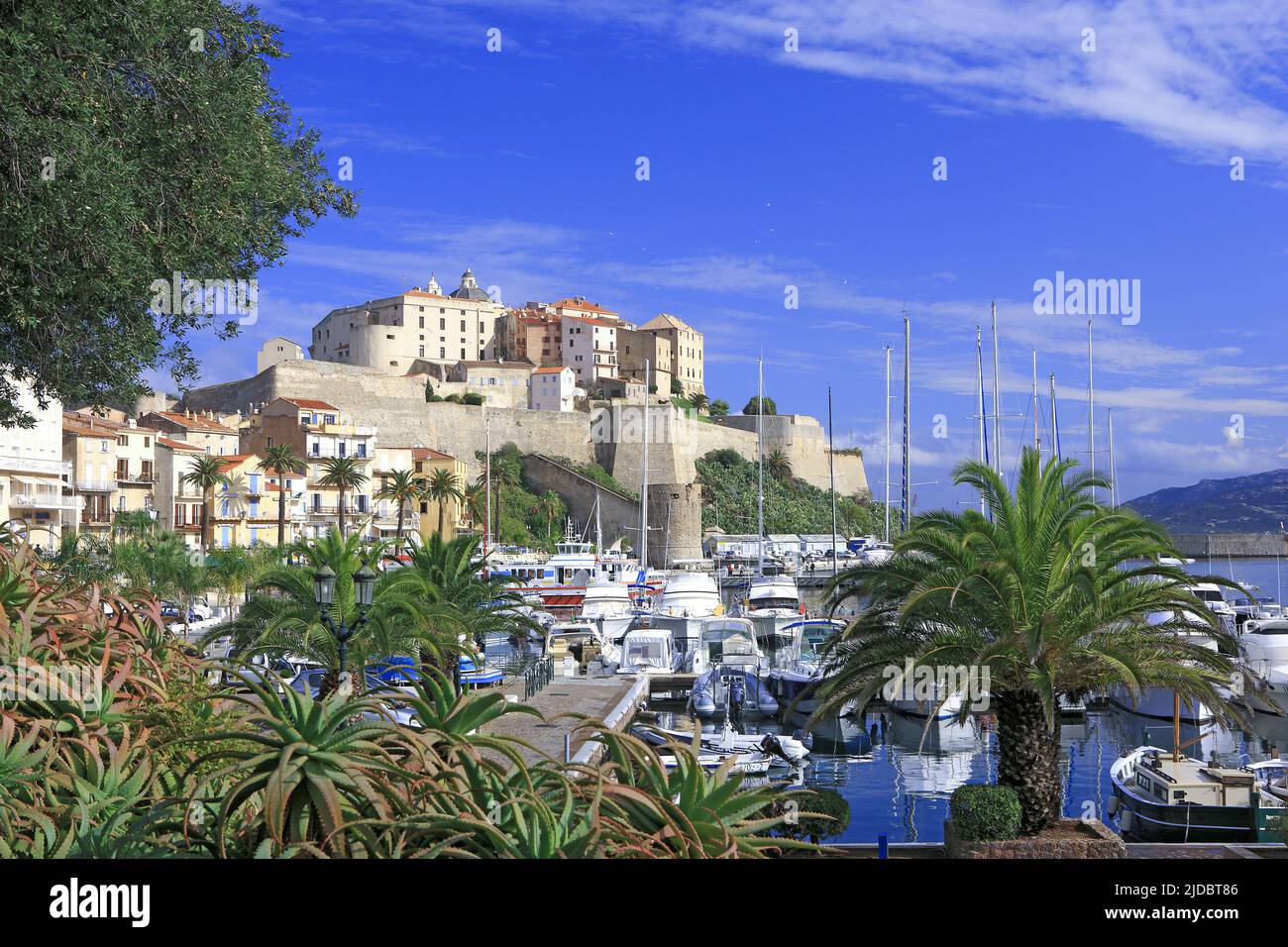 Calvi town city hi-res stock photography and images - Alamy