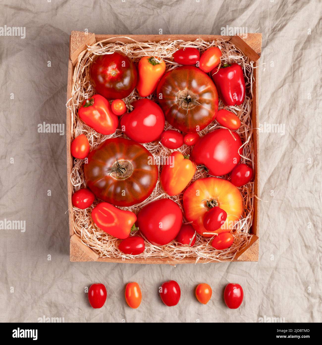 different types and colors of tomatoes and mini bell peppers, top view ...