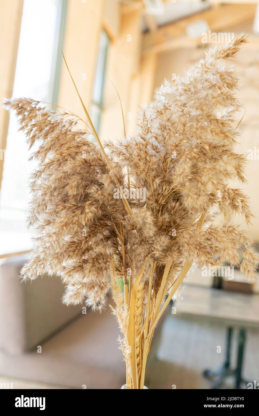 Boho vibes hi-res stock photography and images - Alamy