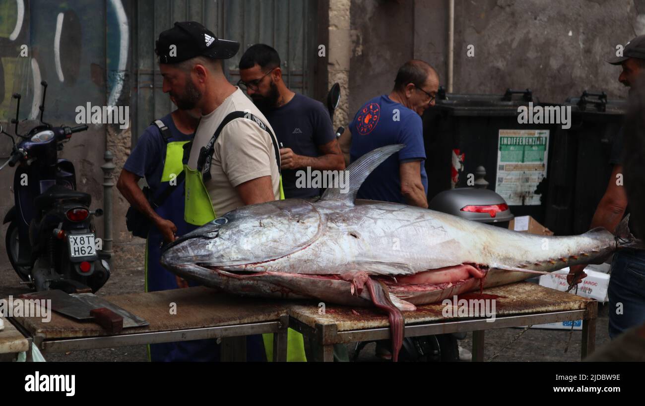 Fish market. Sicily Stock Photo - Alamy