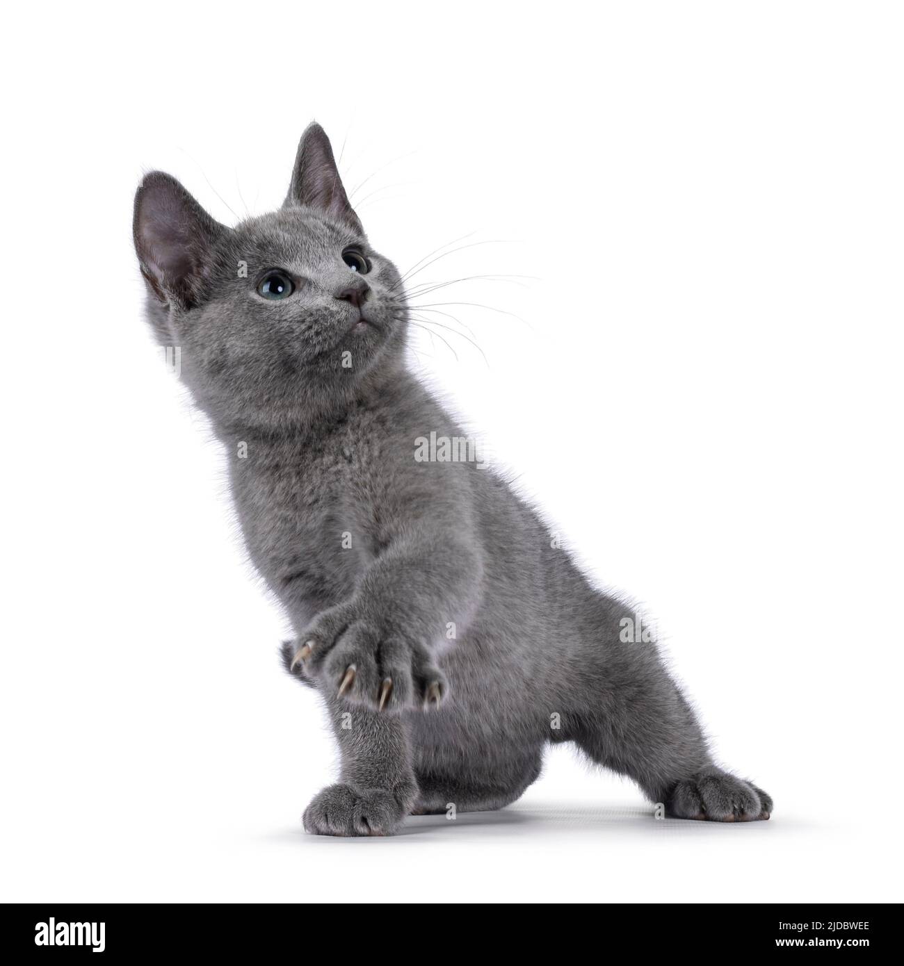 Well typed hi-res stock photography and images - Alamy