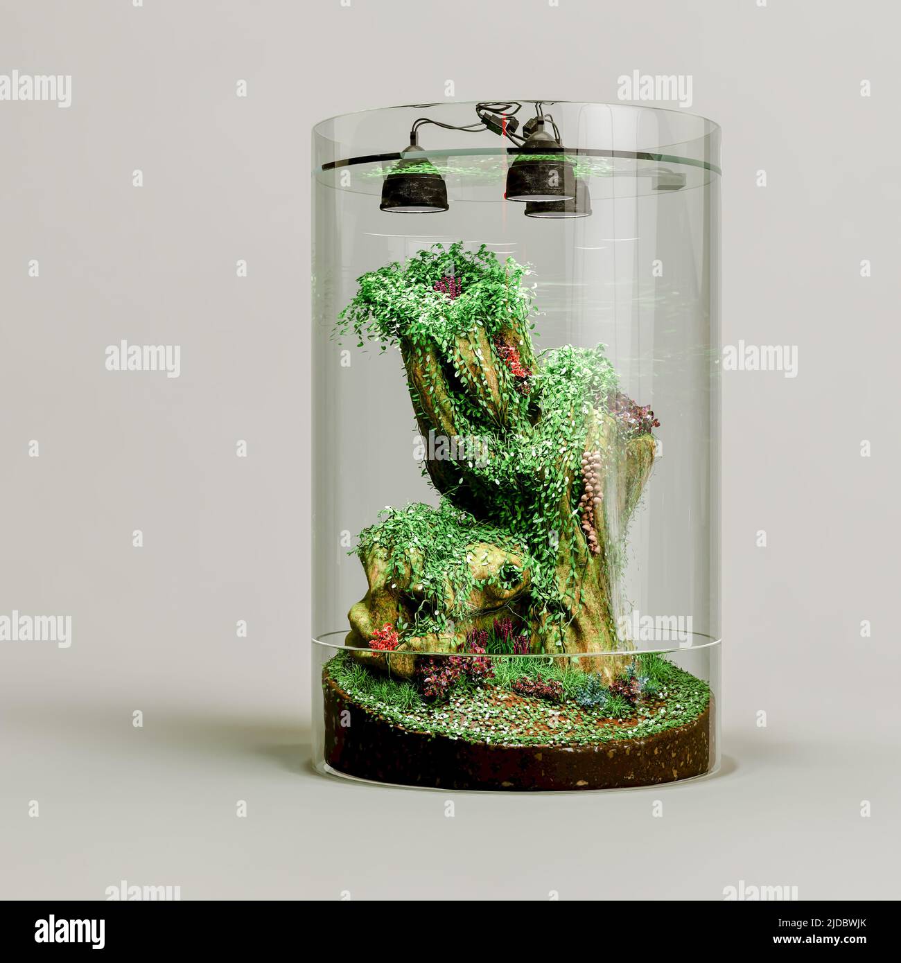 3d illustration of ecosystem isolated on white background Stock Photo ...