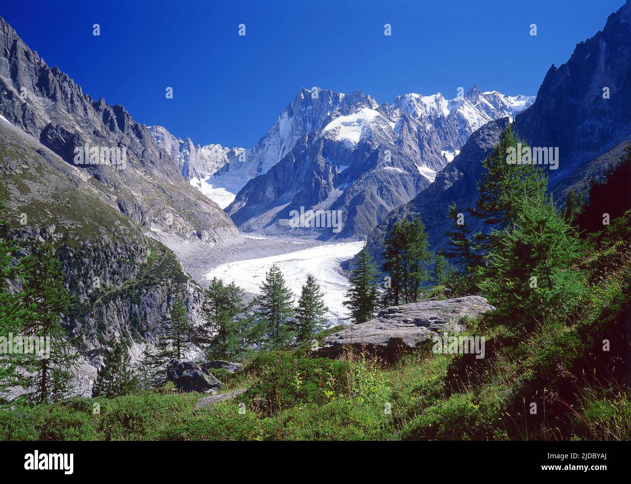 France, Haute-Savoie Chamonix the Mer de Glace, the Mont-Blanc Massif ...