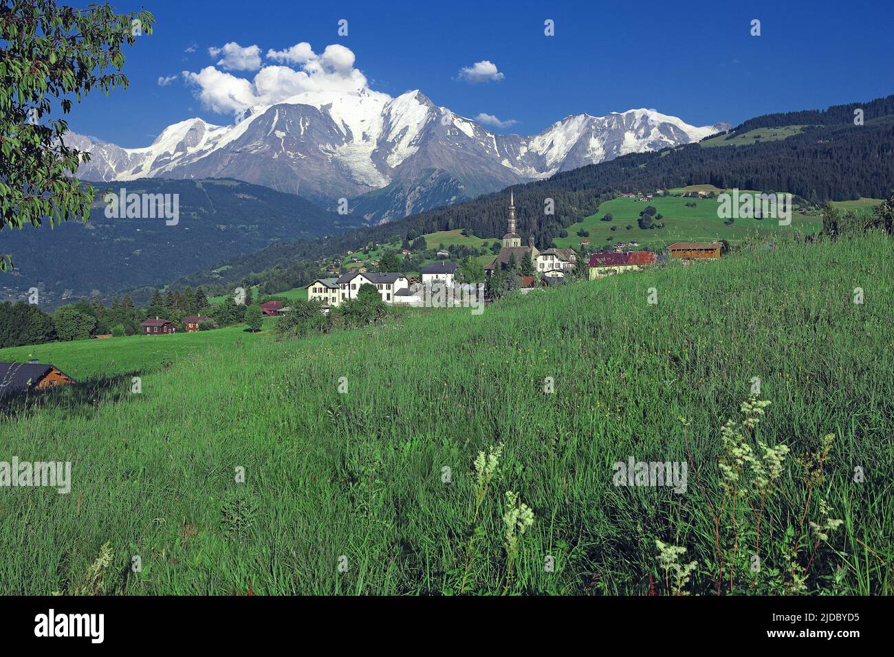 France, Haute-Savoie Combloux, the village in summer facing Mont Blanc ...