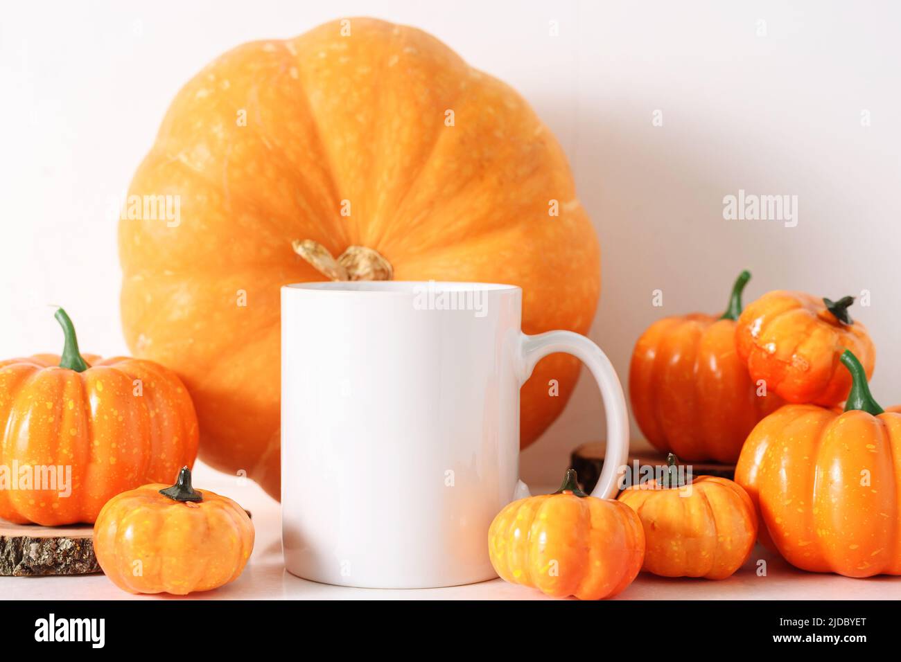 Mug with pupkins fall mockup.. White coffee cup mock up. Blank mug ...
