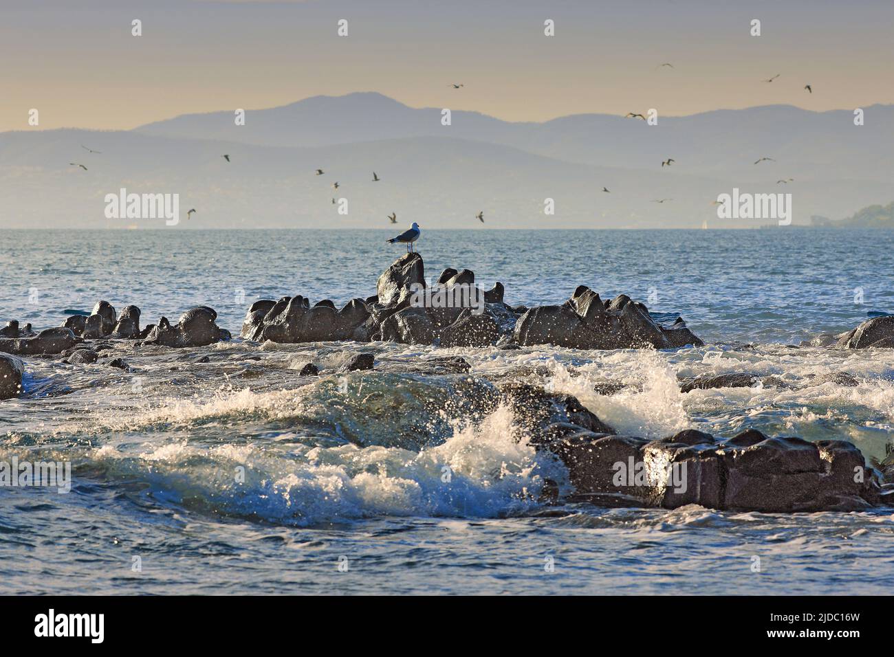 France, Var maritime landscape of the bay of Saint-Tropez Stock Photo ...