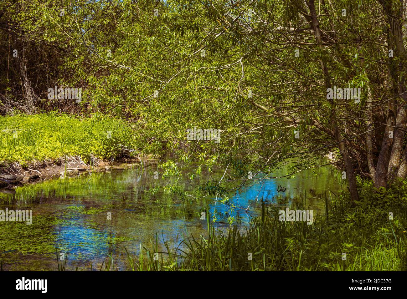 Eastleach river leach cotswolds hi-res stock photography and images - Alamy
