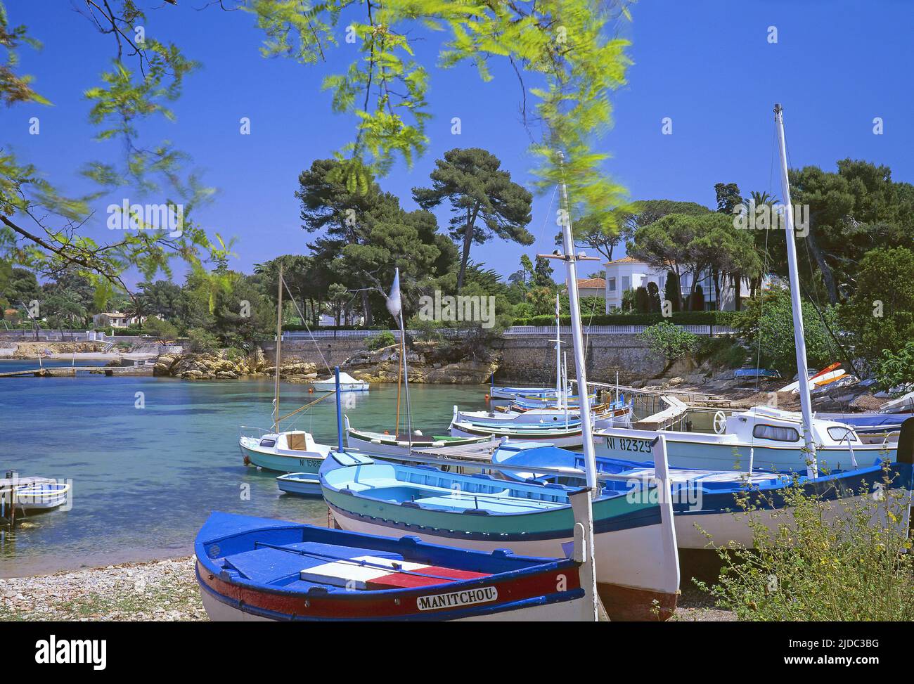 France, Alpes-Maritimes Antibes, Eden Roc the small port of the ...