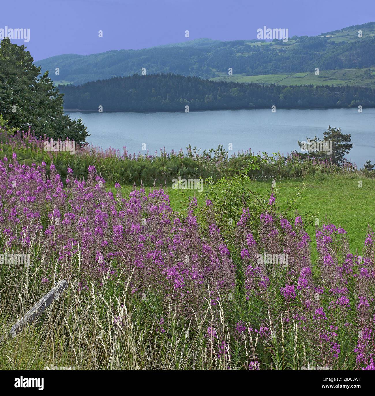 France, Ardèche Lac d'Issarlès, volcanic lake of Ardèche and Vivarais ...