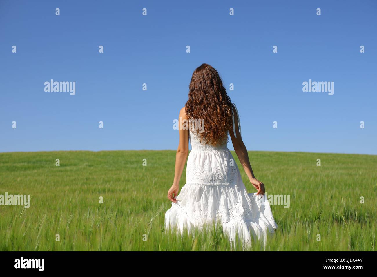 Back view of a woman with white dress walking across a green wheat ...