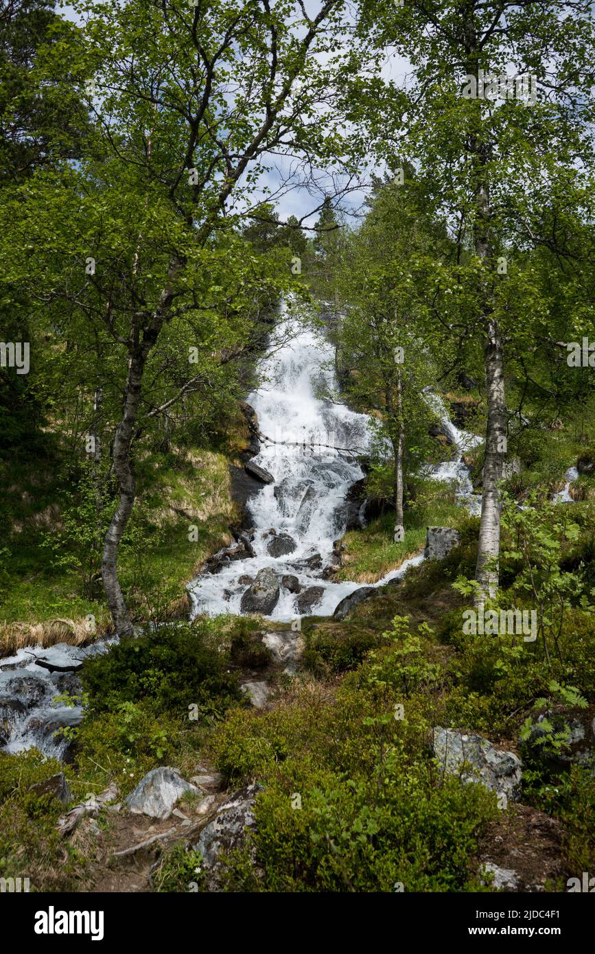 Innerdalen valley, Norway, Europe Stock Photo - Alamy