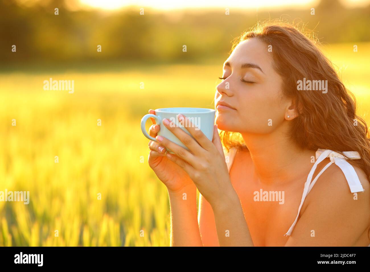 Woman relaxing drinking coffee sitting in a wheat field at sunset Stock ...