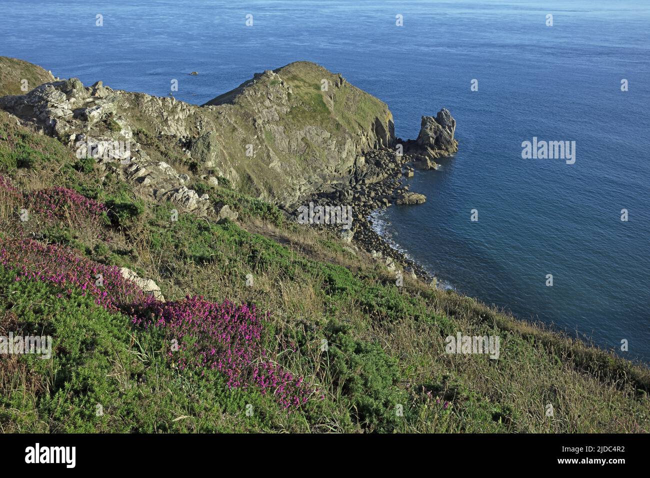 France, Cotentin Cap de la Hague, the Nez de Jobourg, classified site ...