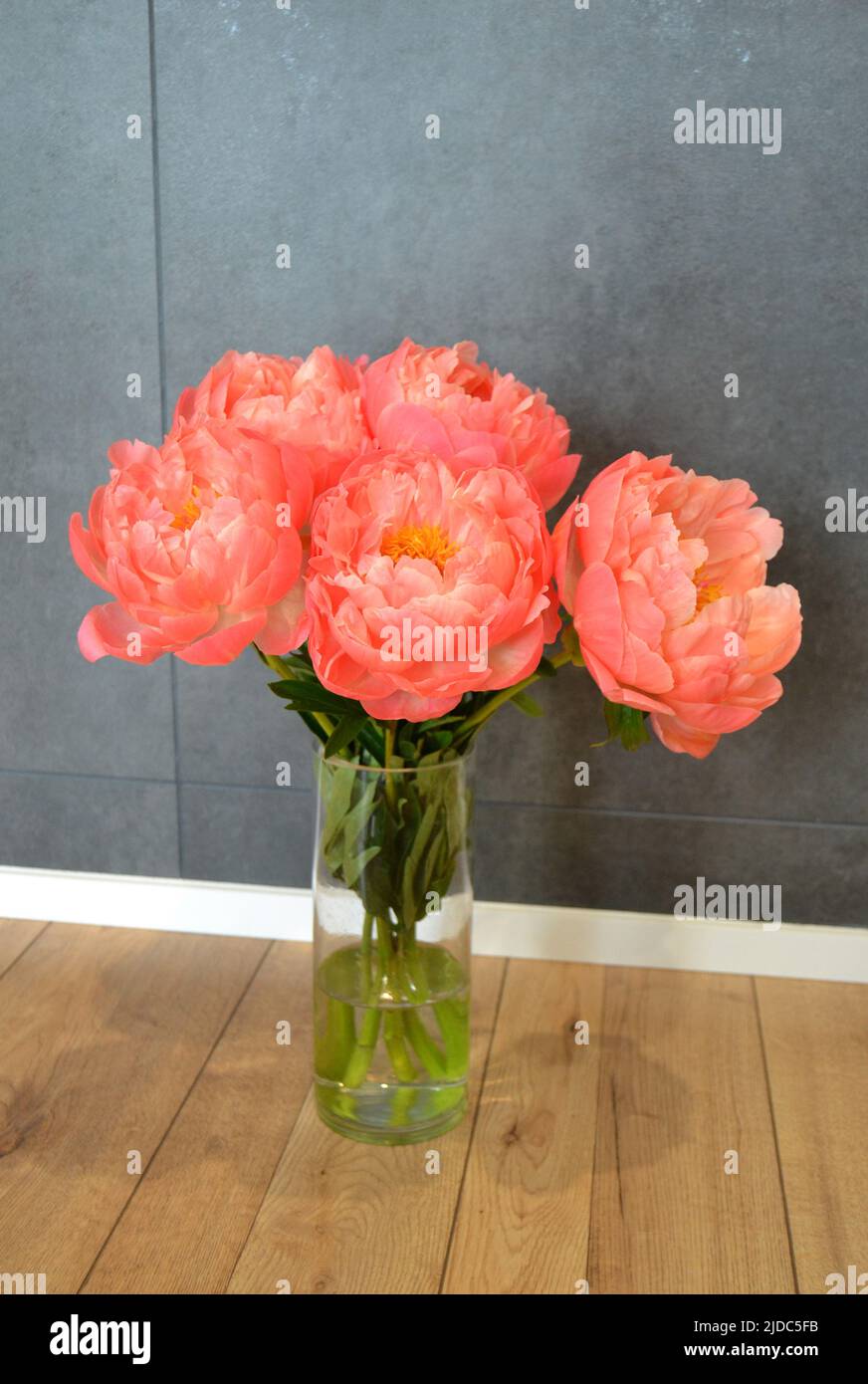Abundance of Fresh bunch of Peonies Bouquet of different pink colors on ...