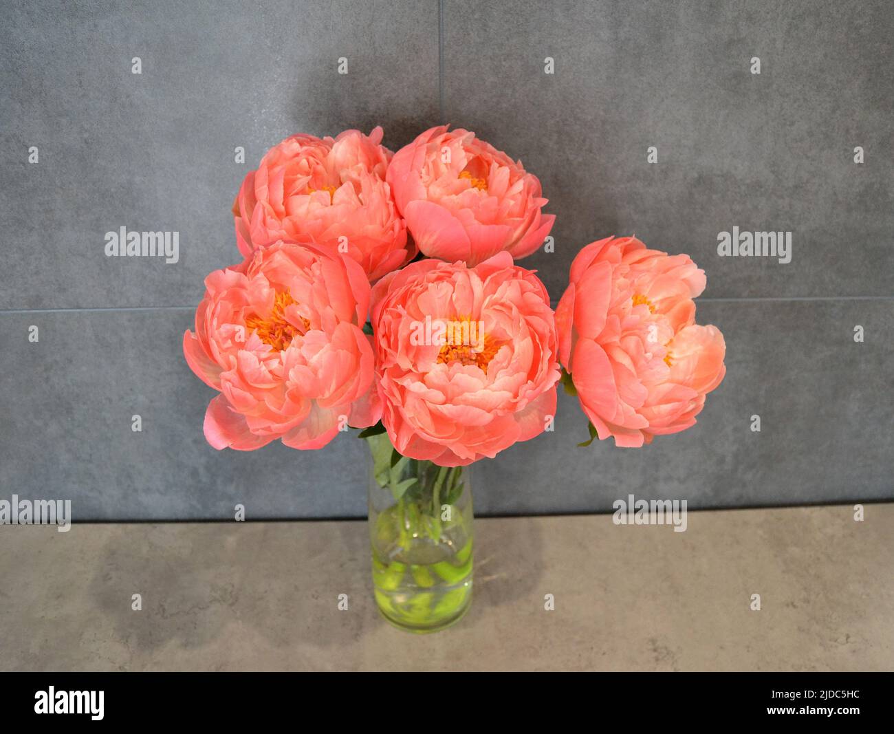 Abundance of Fresh bunch of Peonies Bouquet of different pink colors on ...