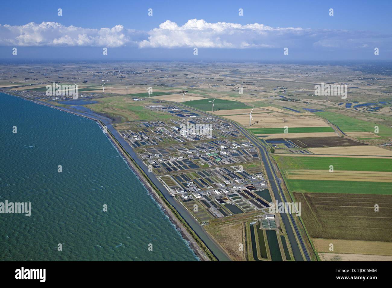France, Vendée, Beauvoir-sur-Mer on oyster port of Bec or Chinese ...